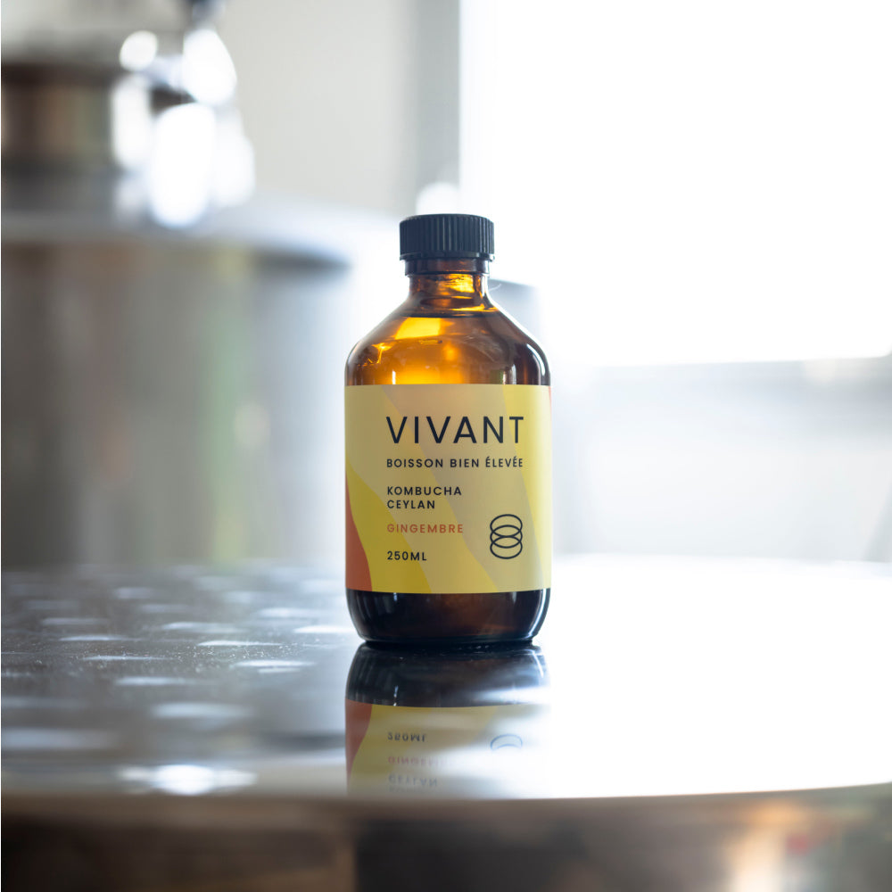 Ceylan kombucha with Ginger – vivantkombucha.fr